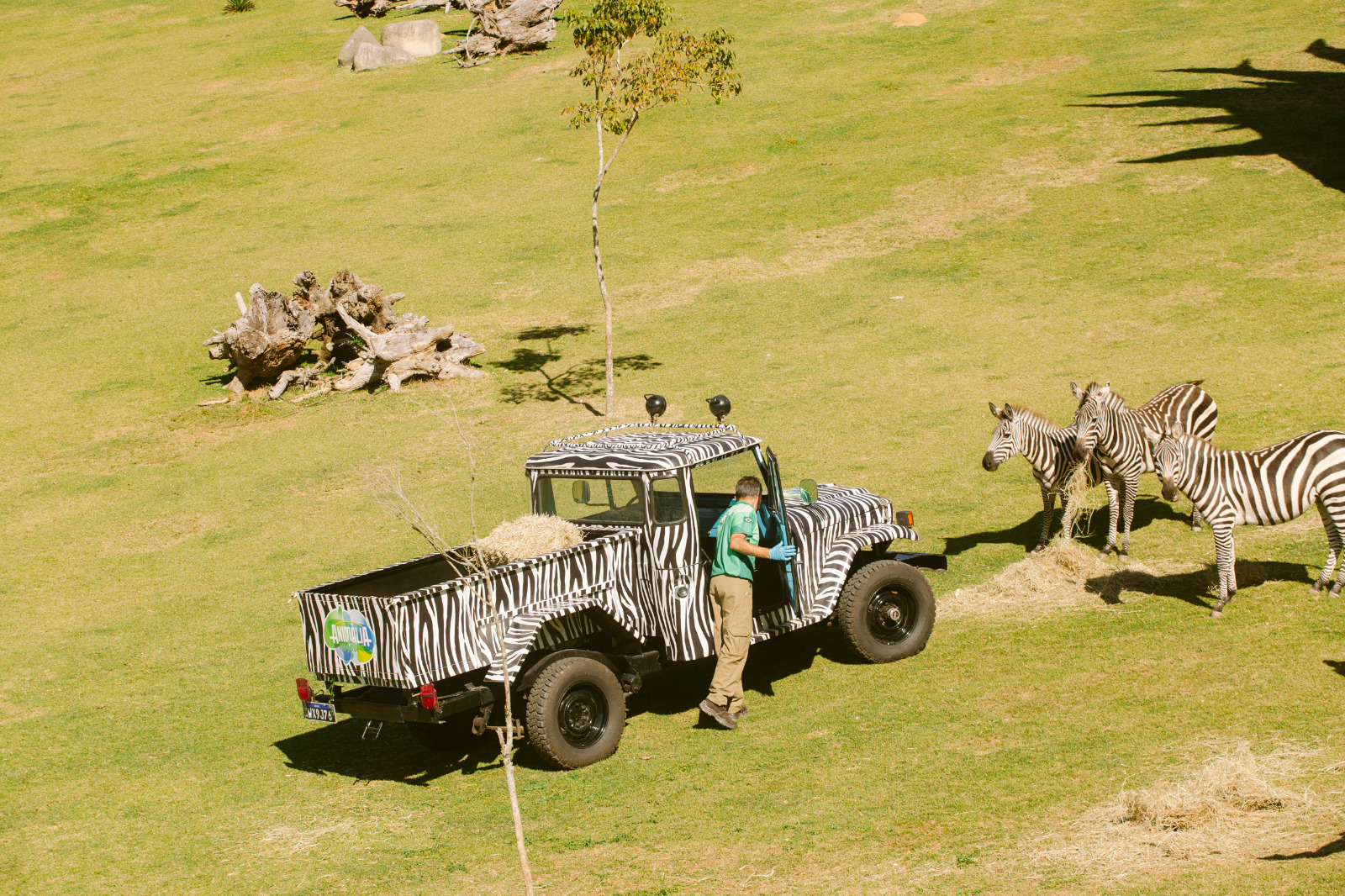 Animália Park é a nova atração de lazer e entretenimento de Cotia ...