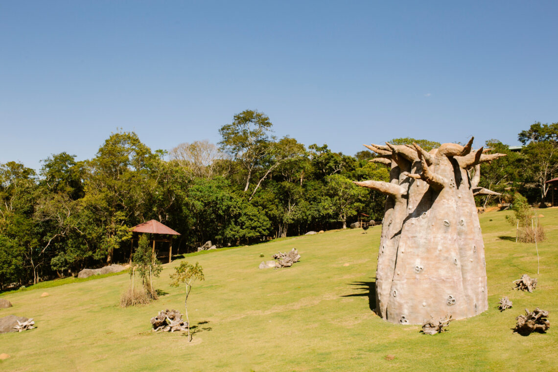 Animália Park é a nova atração de lazer e entretenimento de Cotia ...