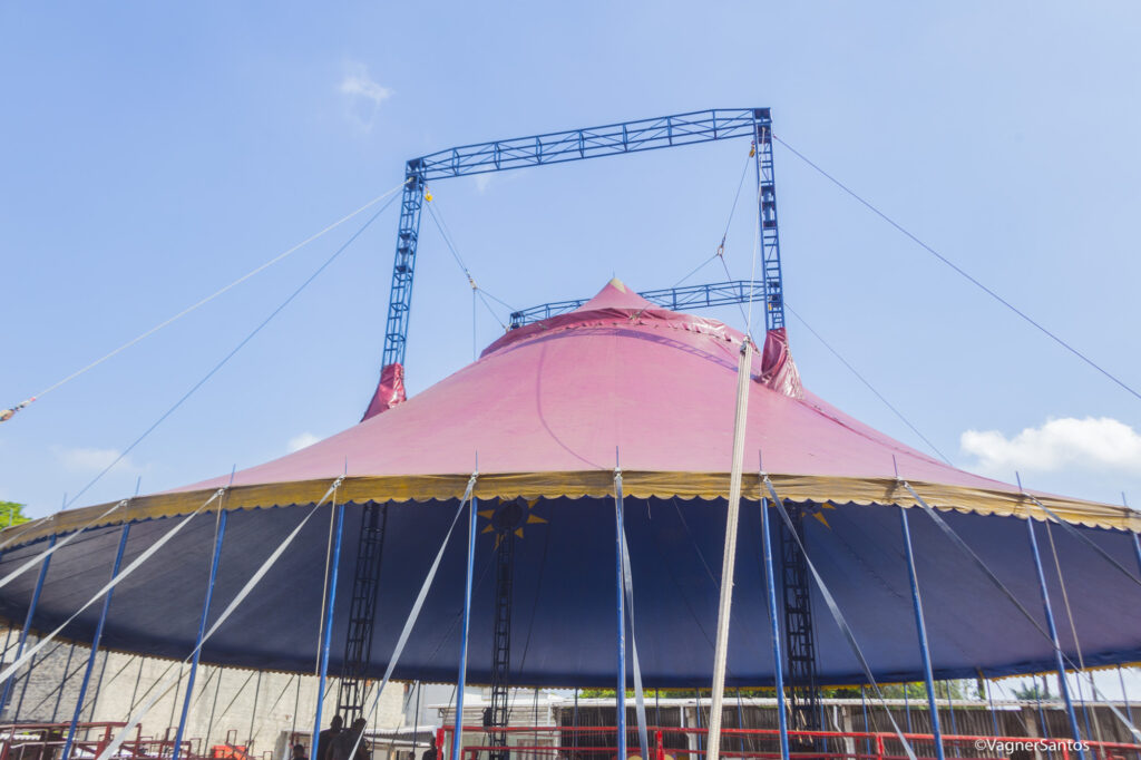 Artistas de Cotia podem se inscrever para o Festival de Circo SP 2023 ...