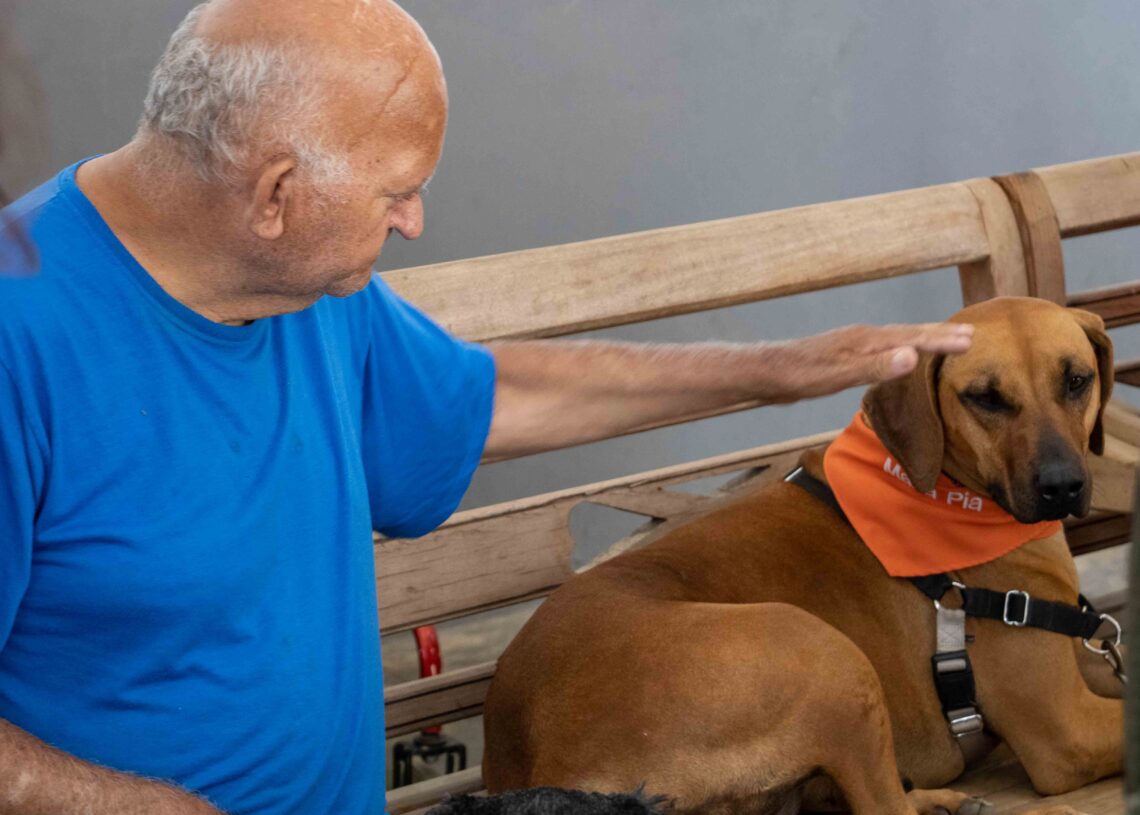 Prefeitura – Prefeitura de Cotia